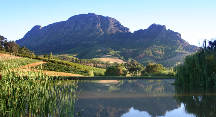 Alluvia Specialist Winery