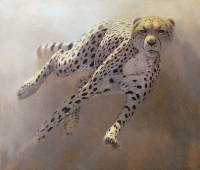 Kim Donaldson Gallery