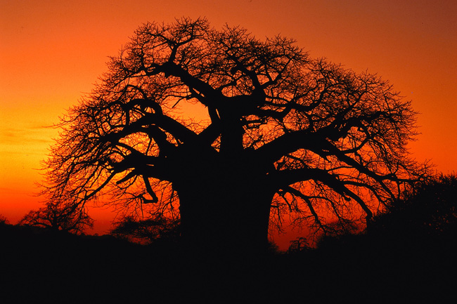 Musina Nature Reserve