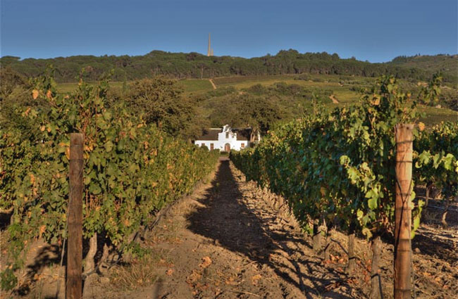 Laborie Wine Estate