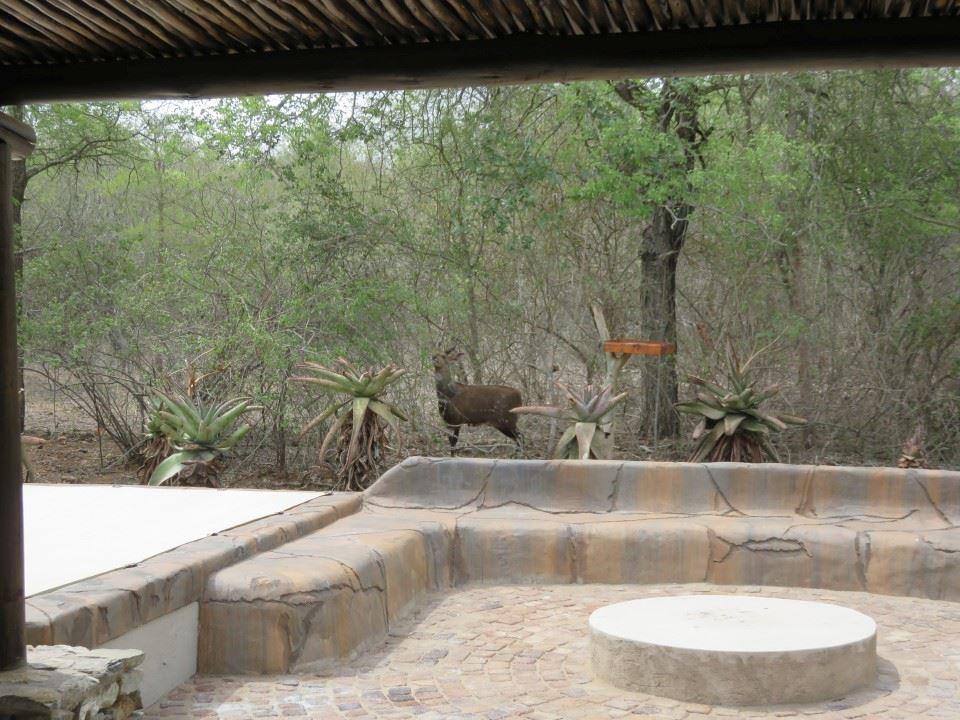 Impala Place | Get the Best Accommodation Deal - Book Self-Catering or ...