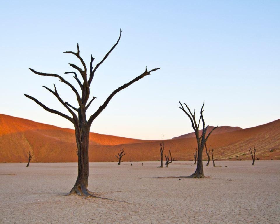 16 Night Namibia Adventure Package | Find Your Perfect Lodging, Self ...