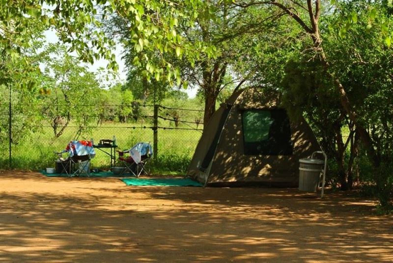 2 Night Safari Package at Shingwedzi Rest Camp Kruger National Park ...