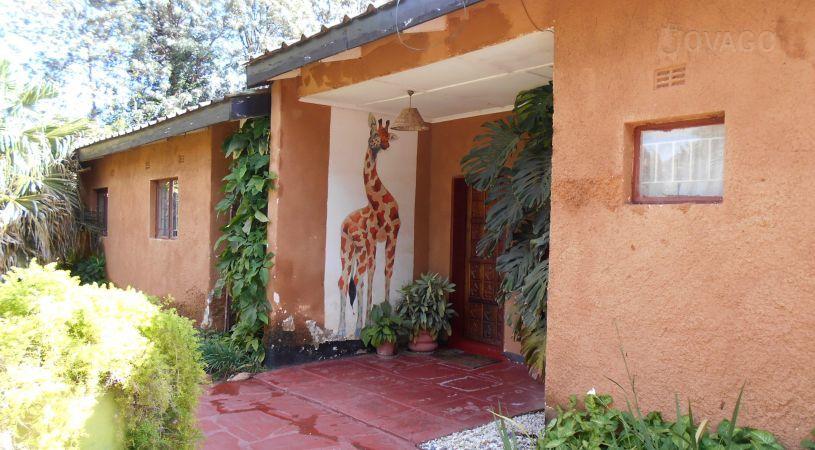 Reed Mat Lodge | Get the Best Accommodation Deal - Book Self-Catering ...