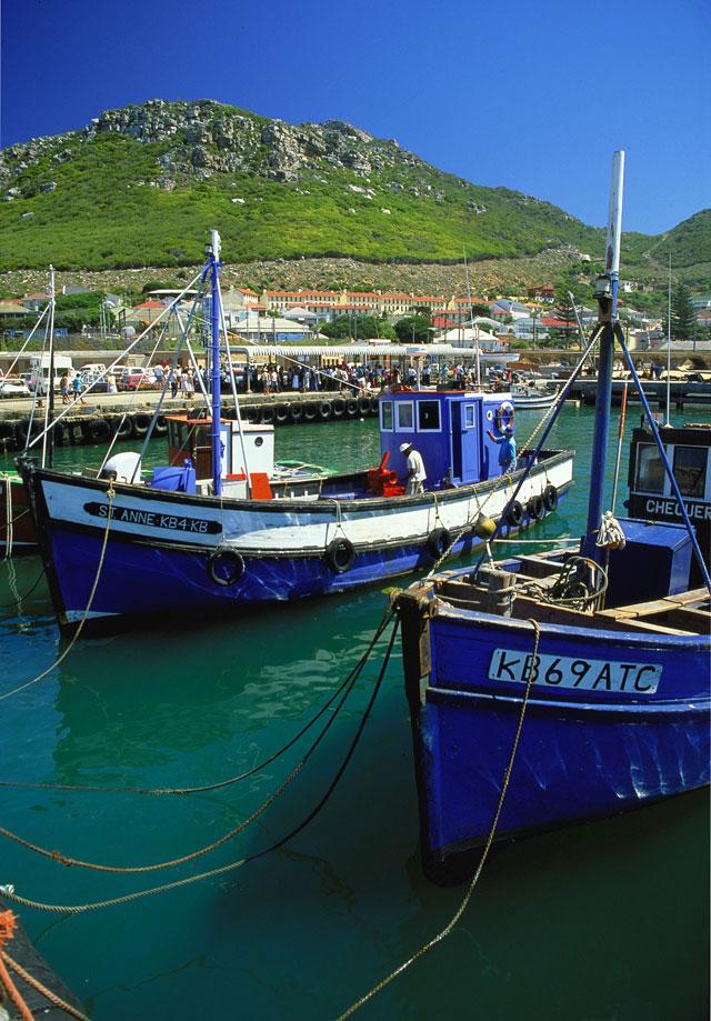 Cape Town Travel Guide