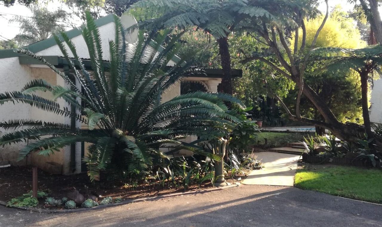 Travelstart | Cadle House