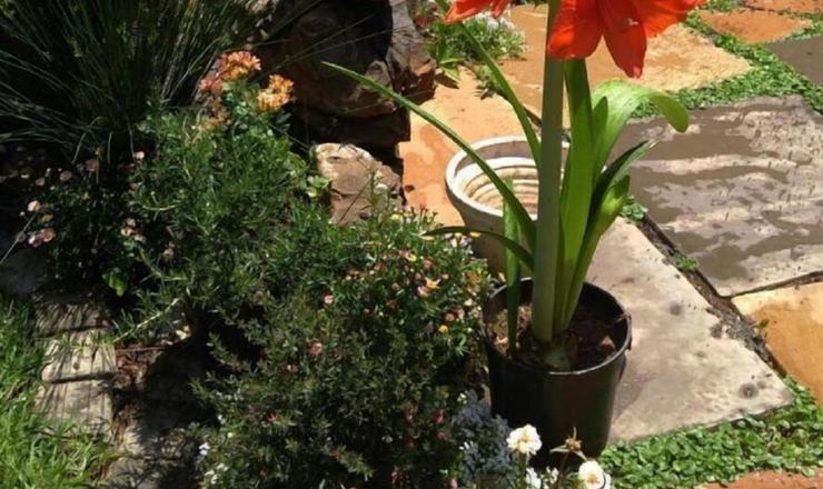 Travelstart | Breena BnB Guest House