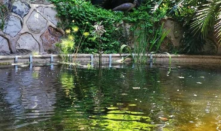 Travelstart | Breena BnB Guest House