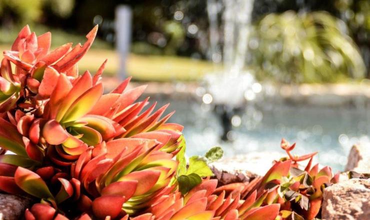 Travelstart | Guest House Serenity