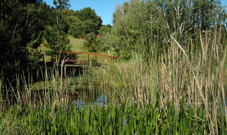 Travelstart | Masescha Country Estate