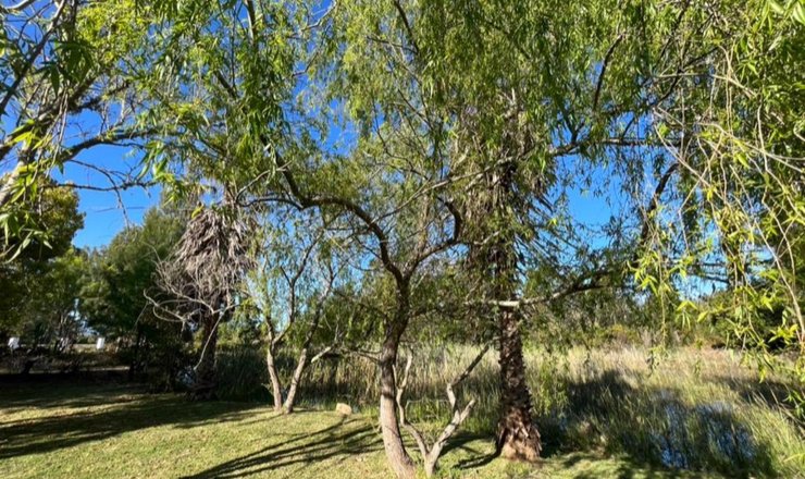 Travelstart | Forest Gate Eco Estate